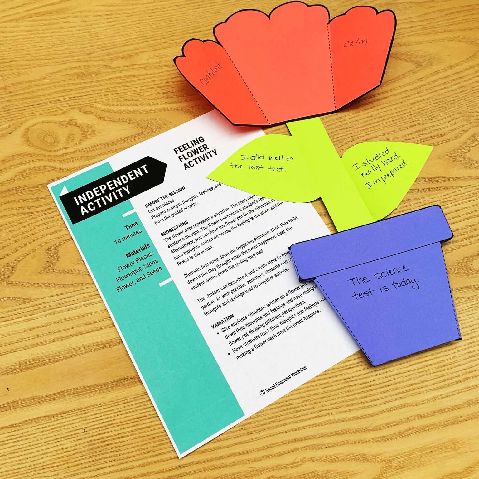 CBT Activities for Kids: How to Explain Thoughts and Feelings | Social ...